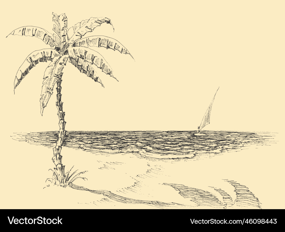 Palm tree on sea shore hand drawing Royalty Free Vector