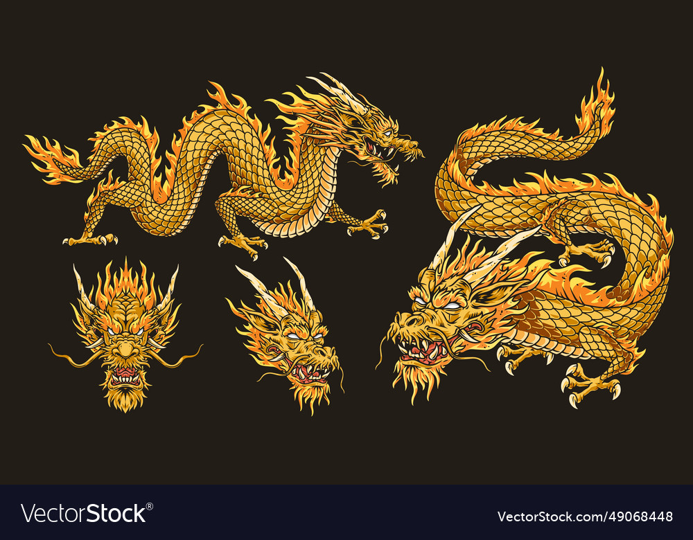 Golden dragon colorful set emblems Royalty Free Vector Image