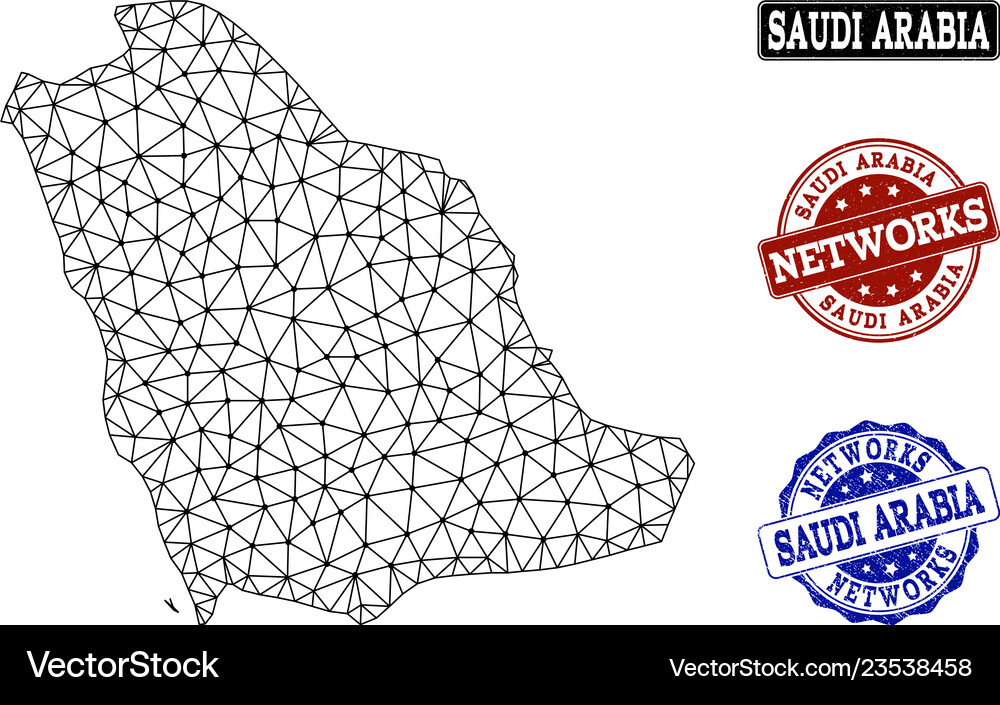 Polygonal network mesh map of saudi arabia Vector Image