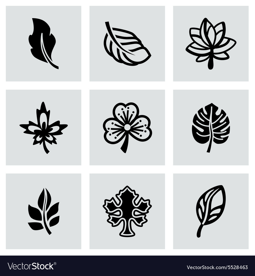 Leaf icon set Royalty Free Vector Image - VectorStock
