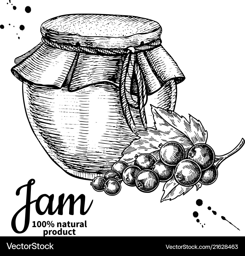 Red currant jam glass jar drawing fru Royalty Free Vector