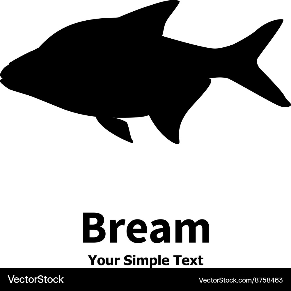 Silhouette of fish bream Royalty Free Vector Image