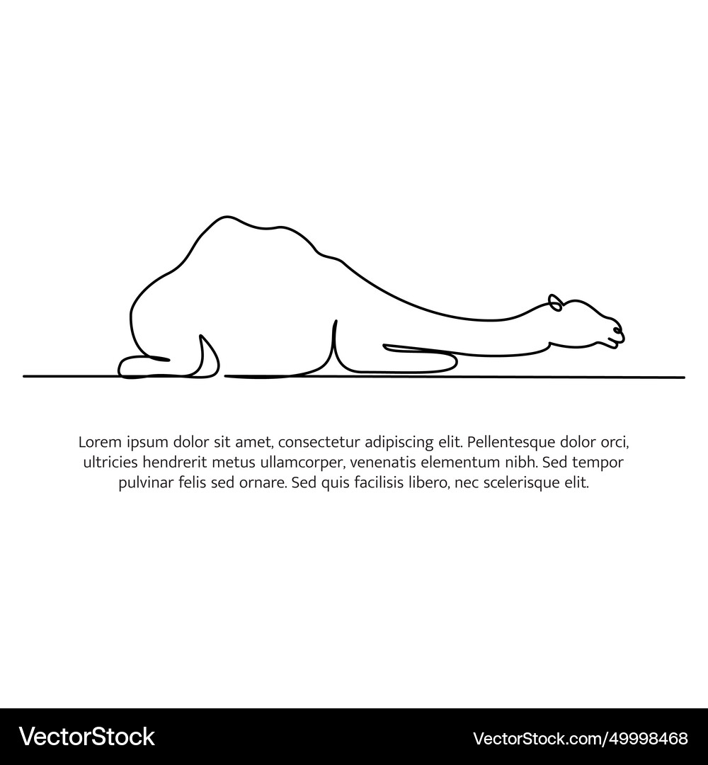 Camel line design simple animal silhouette Vector Image