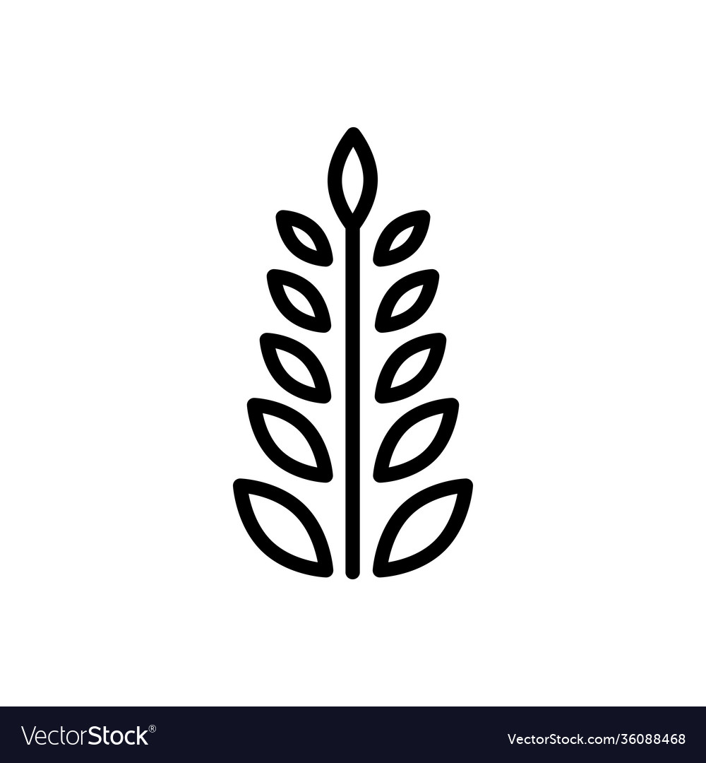 Curry tree Royalty Free Vector Image - VectorStock