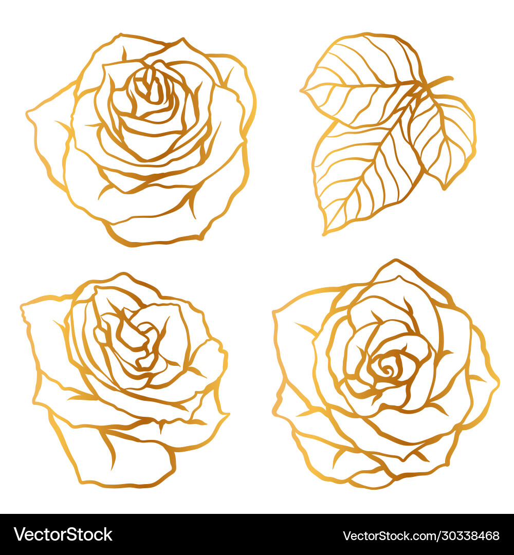 Set decorative outline roses beautiful flowers Vector Image