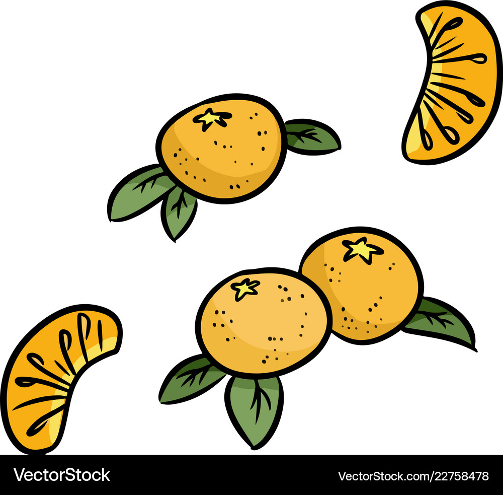 Mandarin set isolated sticker doodles orange Vector Image