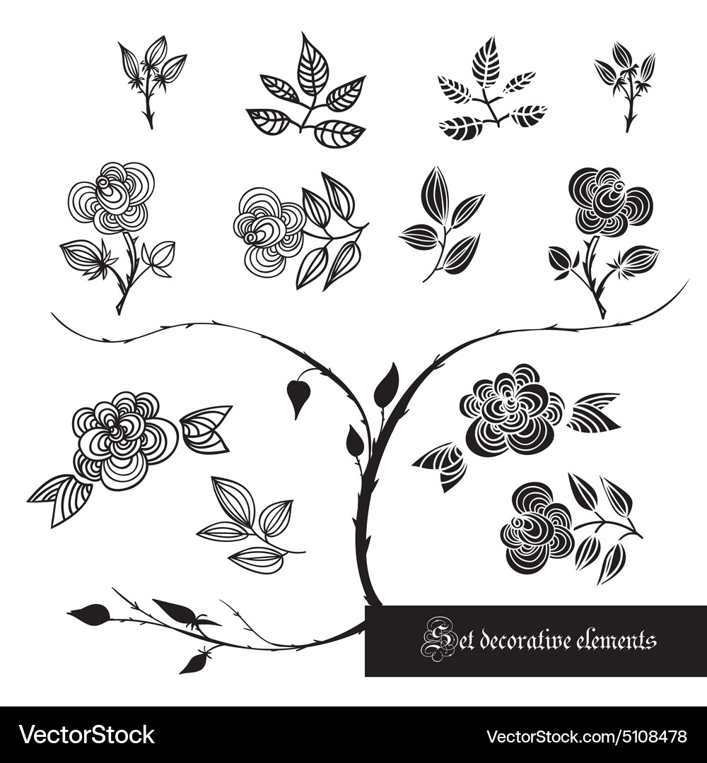 Set of decorative elements roses and leaves Vector Image