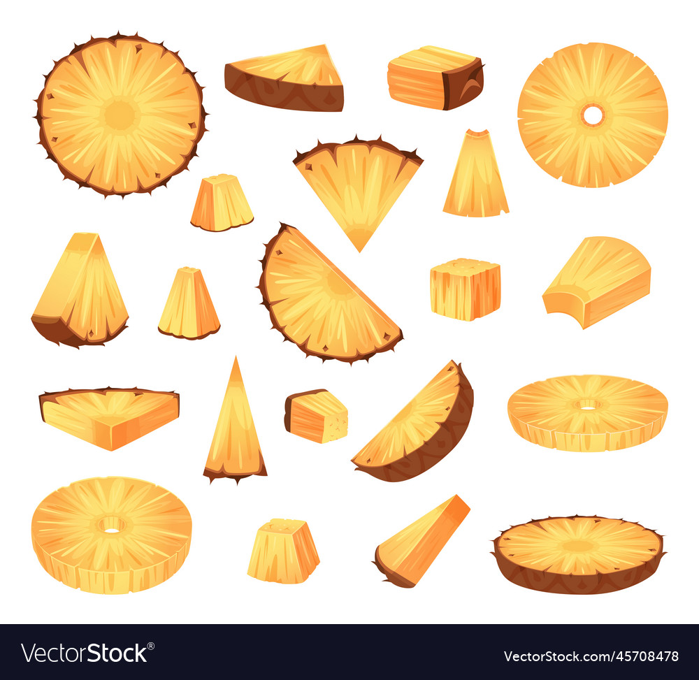 Sliced pineapples tropical juicy healthy fruits Vector Image