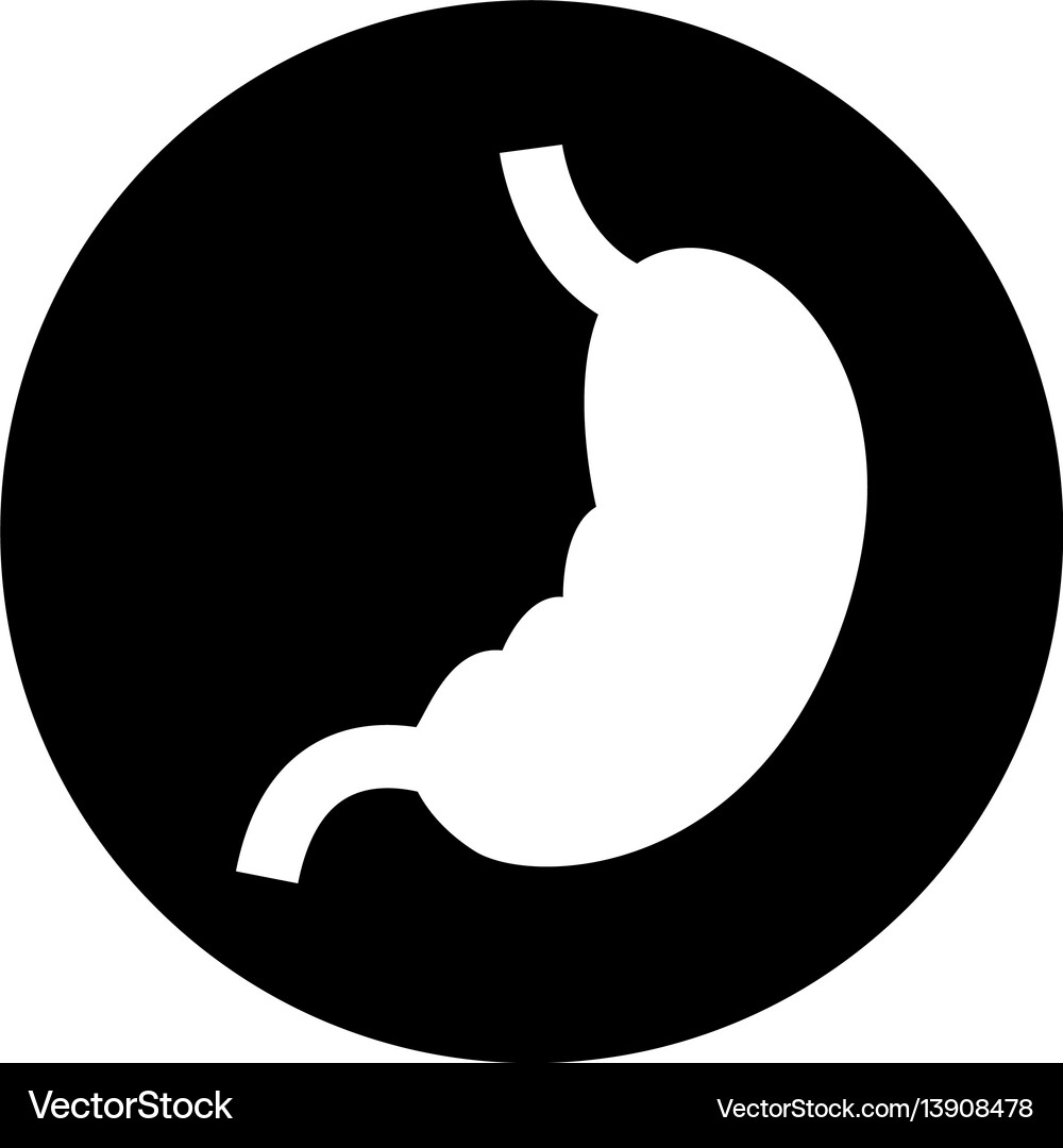 Stomach human organ icon Royalty Free Vector Image