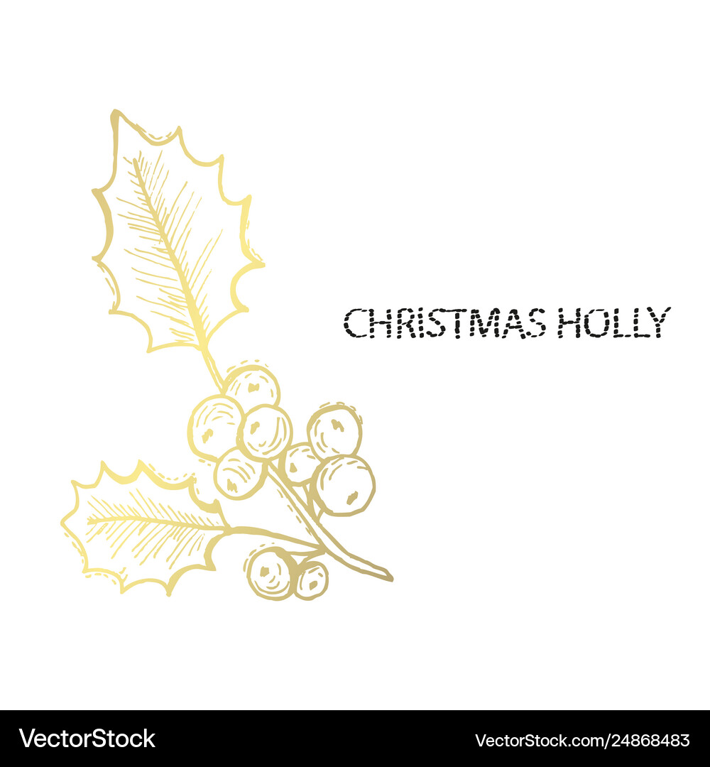 Decorative golden holly berry Royalty Free Vector Image