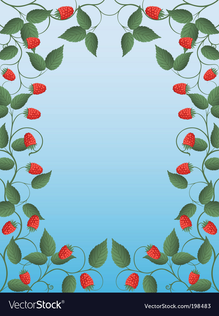 Raspberry Royalty Free Vector Image - VectorStock