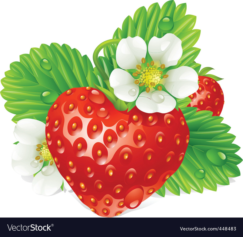 Vector Strawberry Royalty Free Vector Image Vectorstock