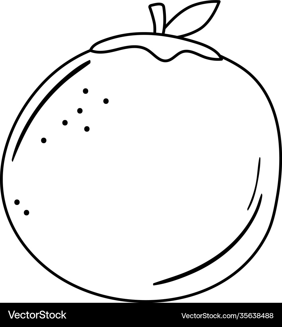 Fruit orange appetizing delicious food icon line Vector Image