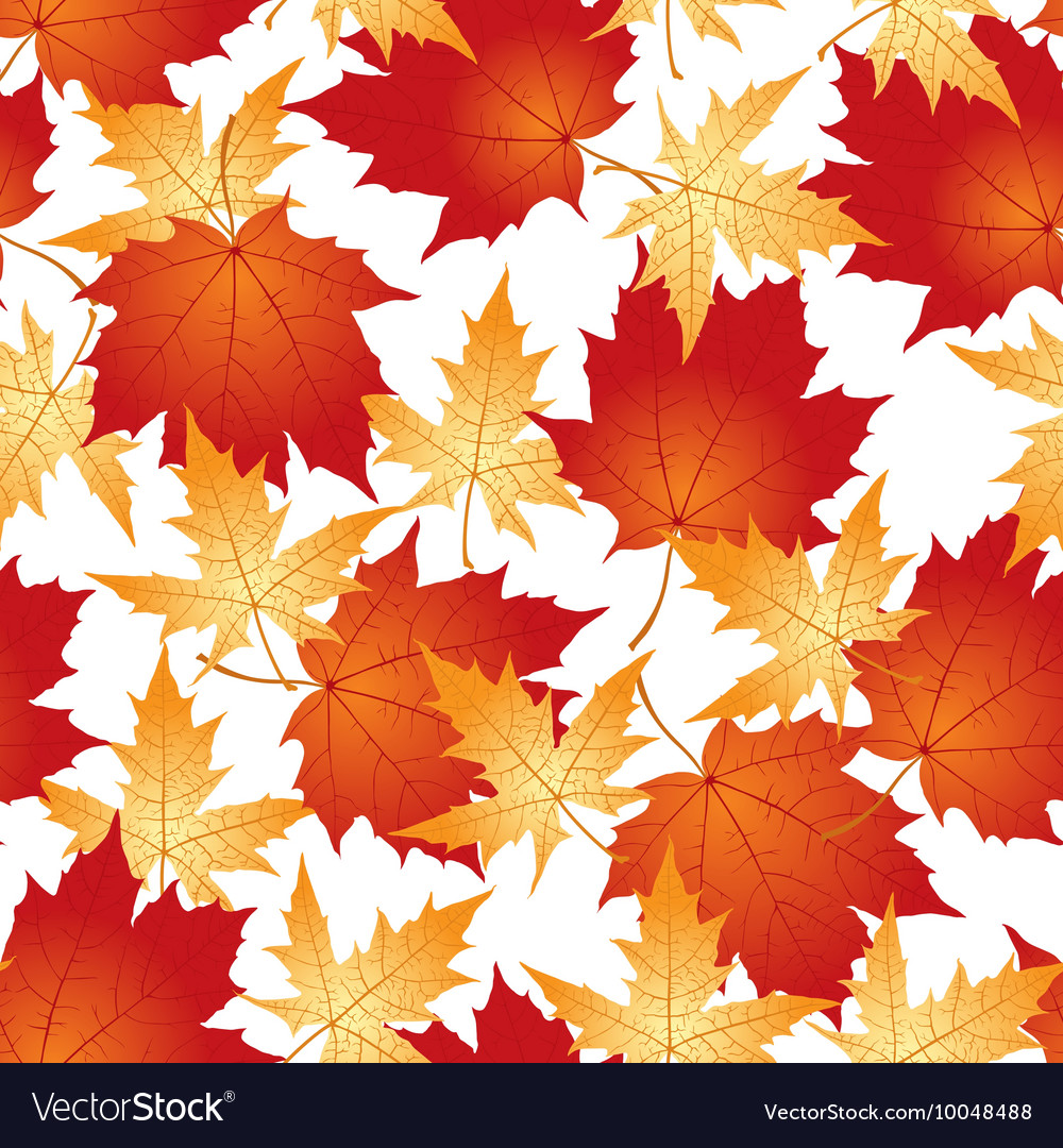 Maple pattern Royalty Free Vector Image - VectorStock