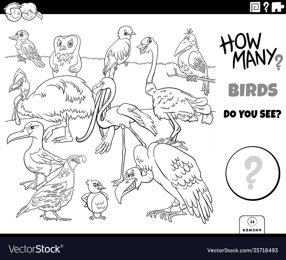 Counting birds educational task for kids coloring Vector Image
