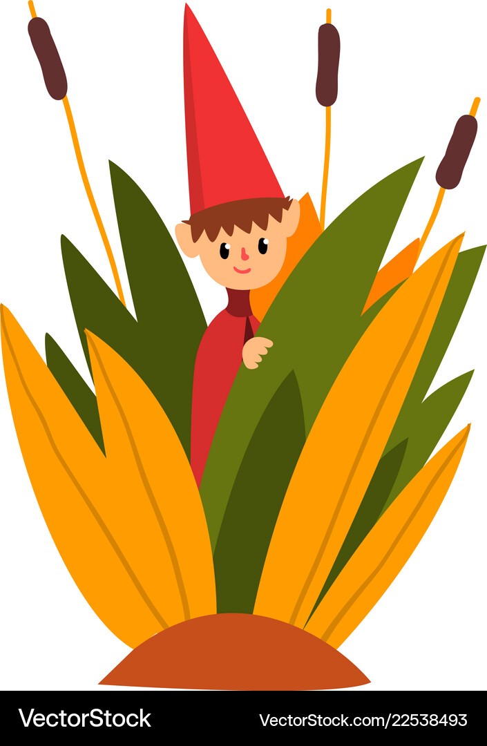 Cute little boy in a pointed hat standing tall Vector Image