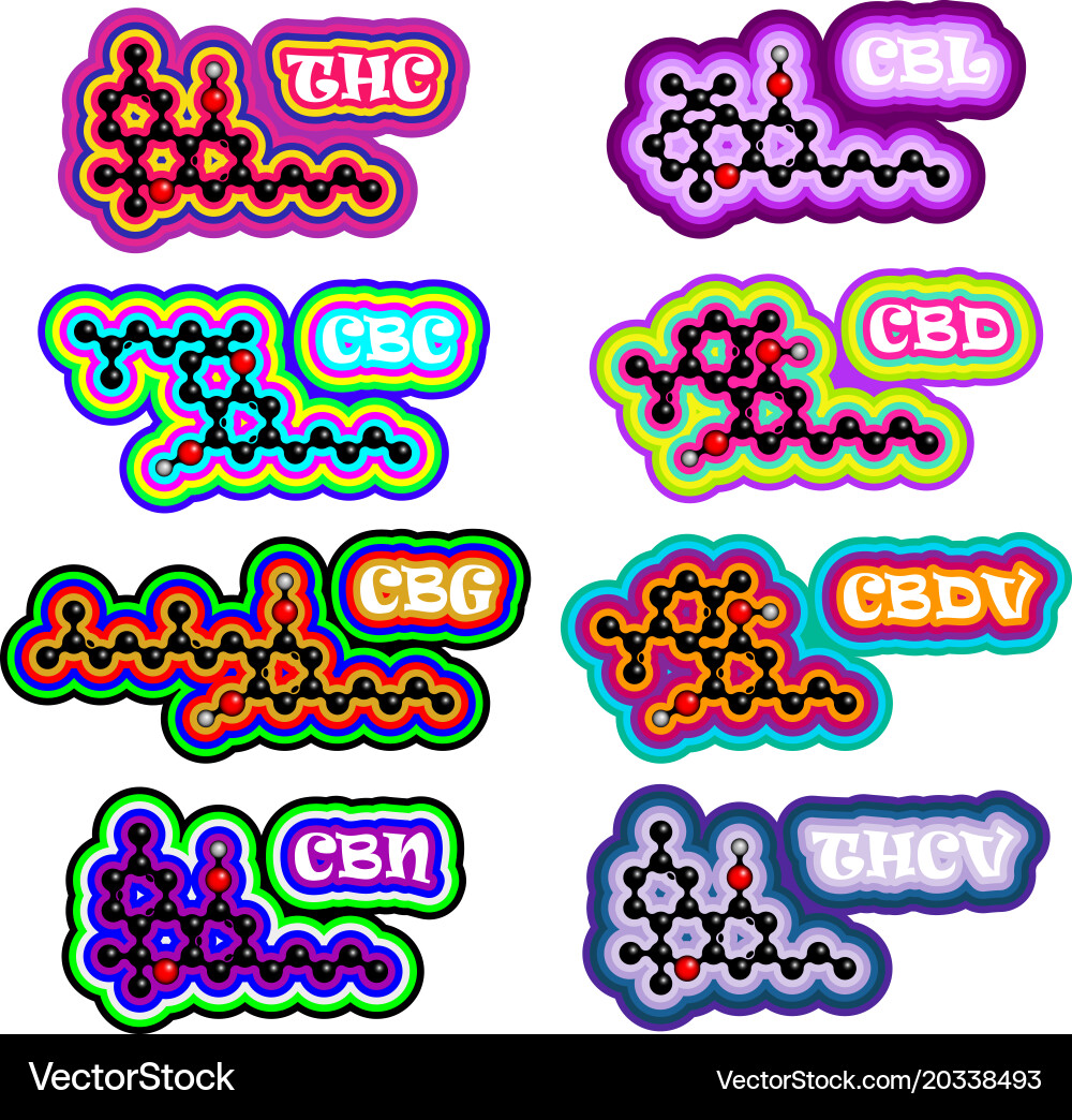 Main cannabinoids naturally occurred in cannabis Vector Image