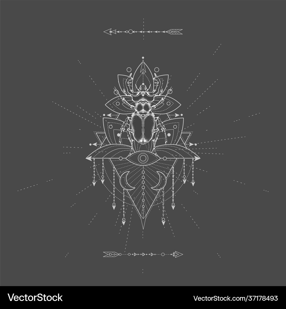 With hand drawn stag beetle and sacred symbol Vector Image