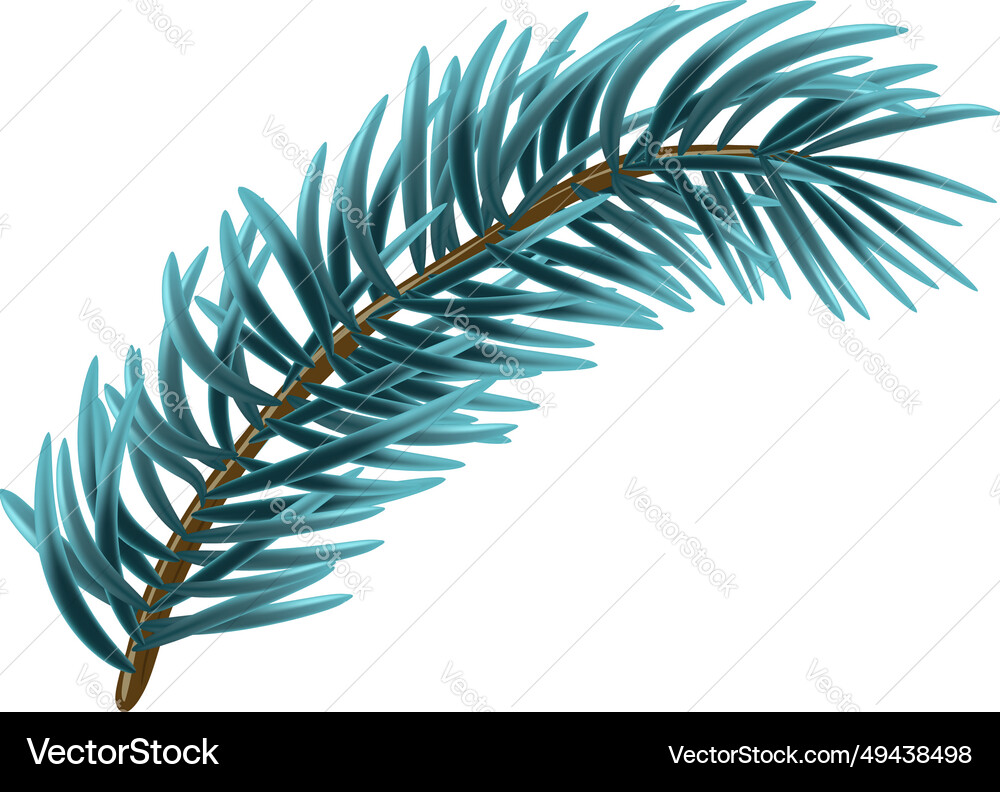 Blue christmas fir branch Royalty Free Vector Image