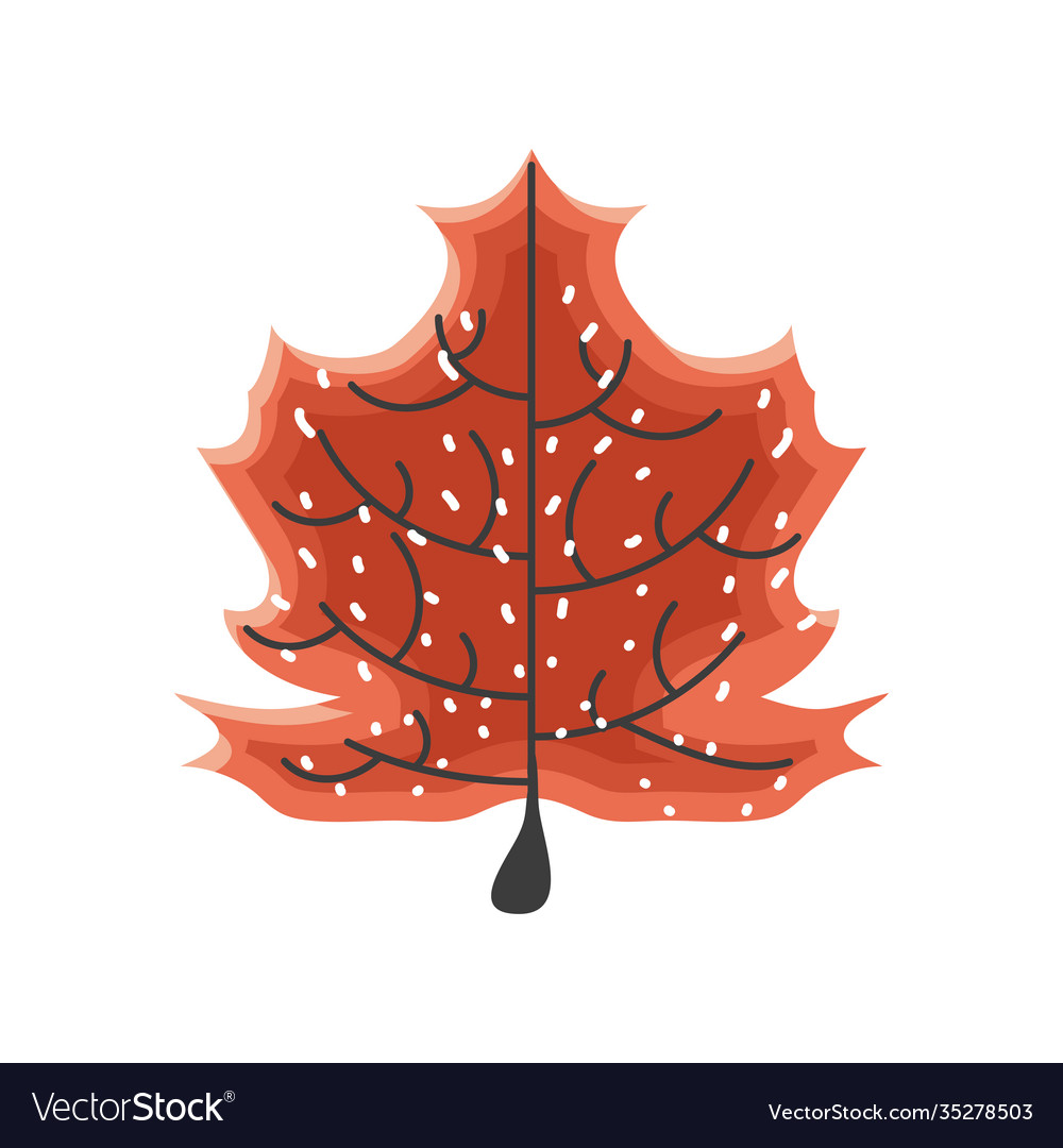 Autumn maple leaf foliage natural Royalty Free Vector Image