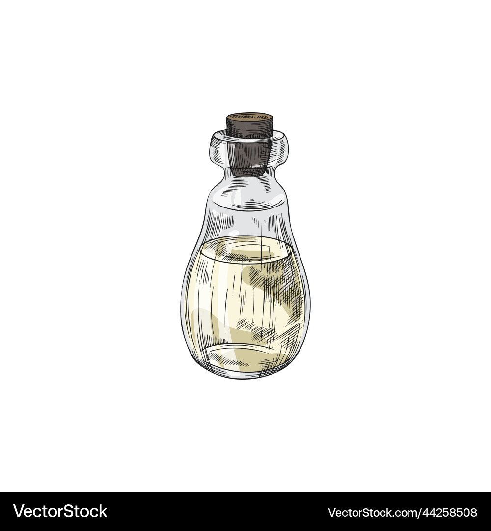 Aromatic cooking oil in bottle hand drawn Vector Image