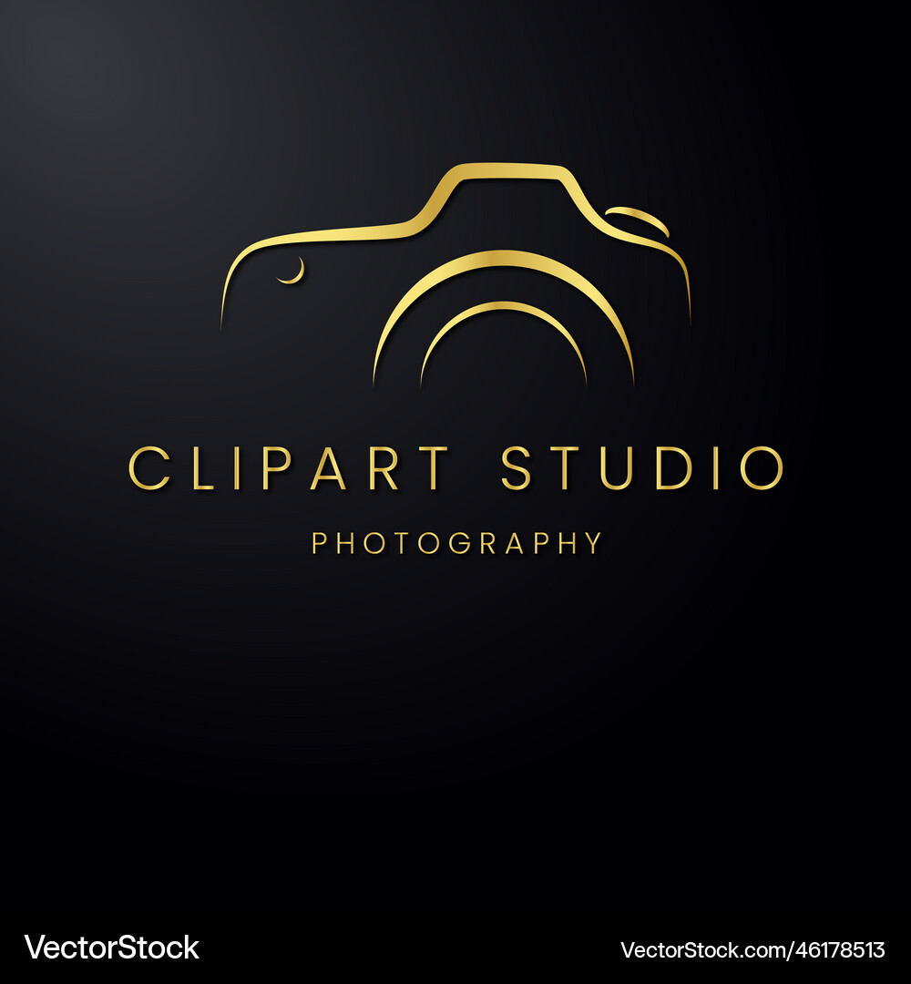 Elegant modern photography logo Royalty Free Vector Image