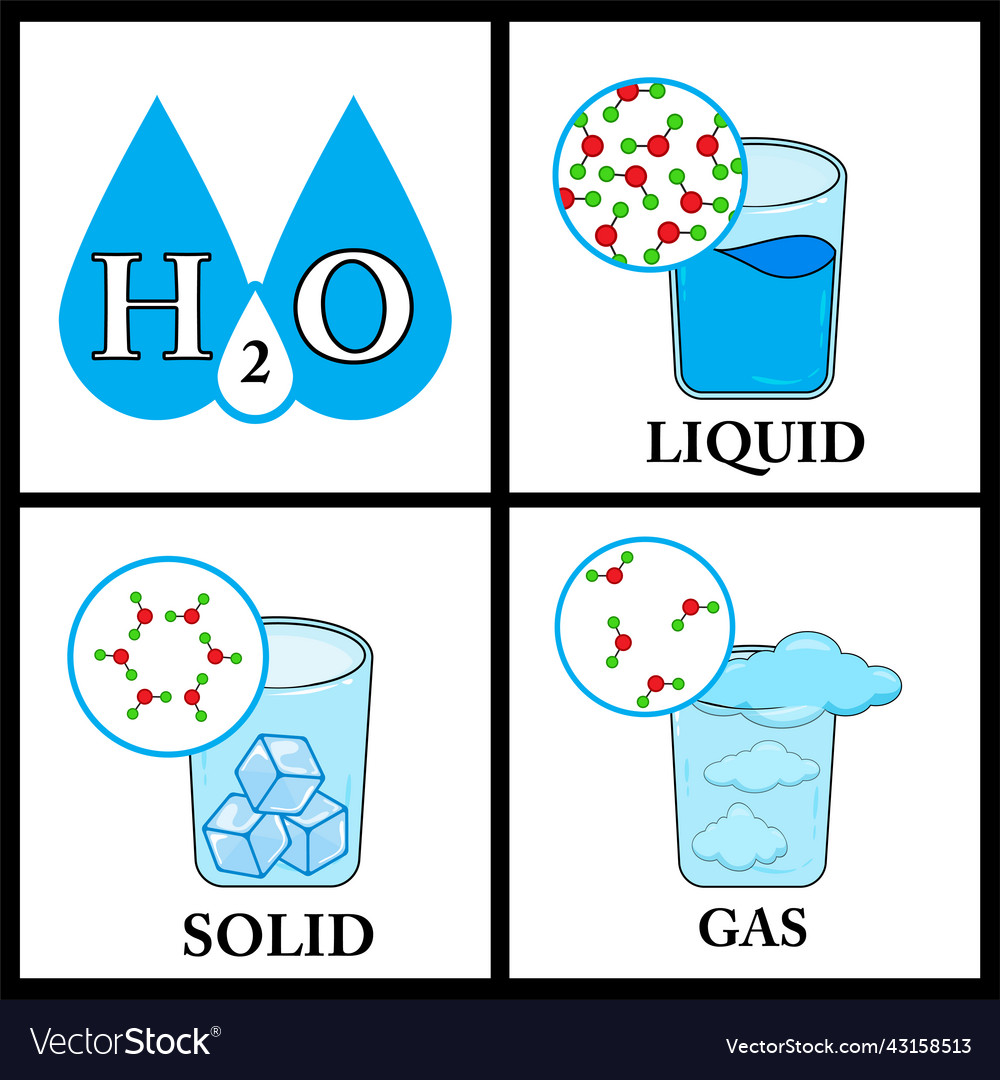 Fundamentals states of matter with molecules Vector Image Fundamentals states of matter with molecules Vector Image