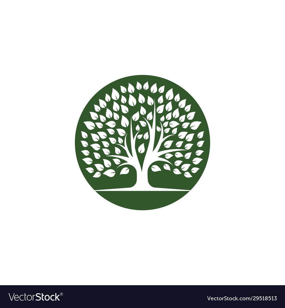 Tree logo template icon Royalty Free Vector Image