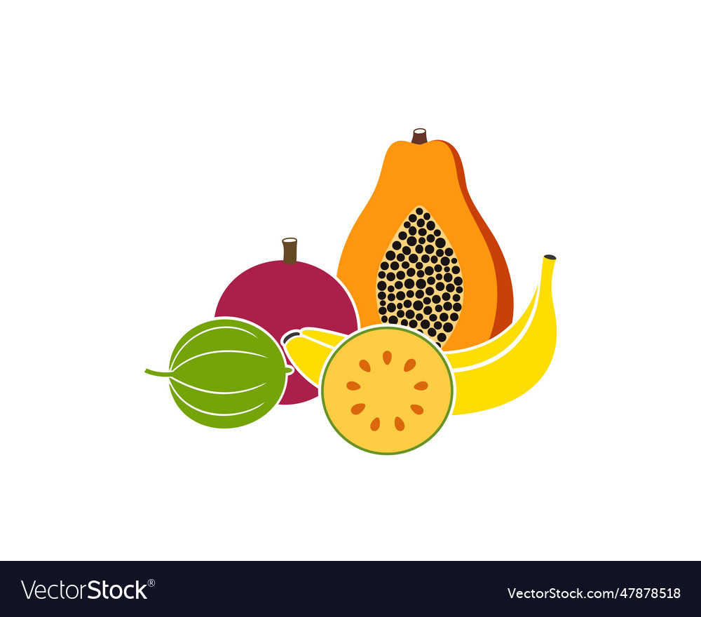 Fruit Royalty Free Vector Image - VectorStock