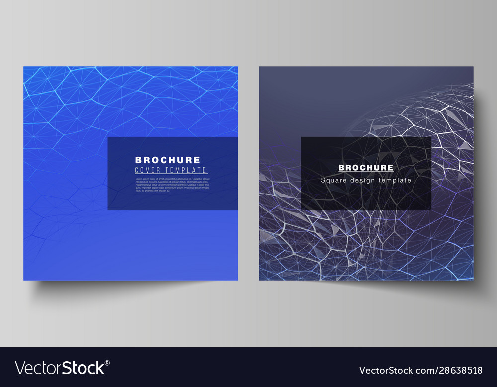 Layout two square format covers design Royalty Free Vector
