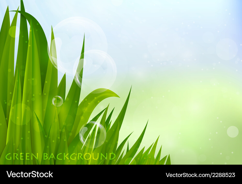 Background of green grass Royalty Free Vector Image