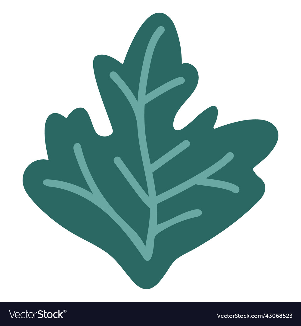 Green flat leaf Royalty Free Vector Image - VectorStock