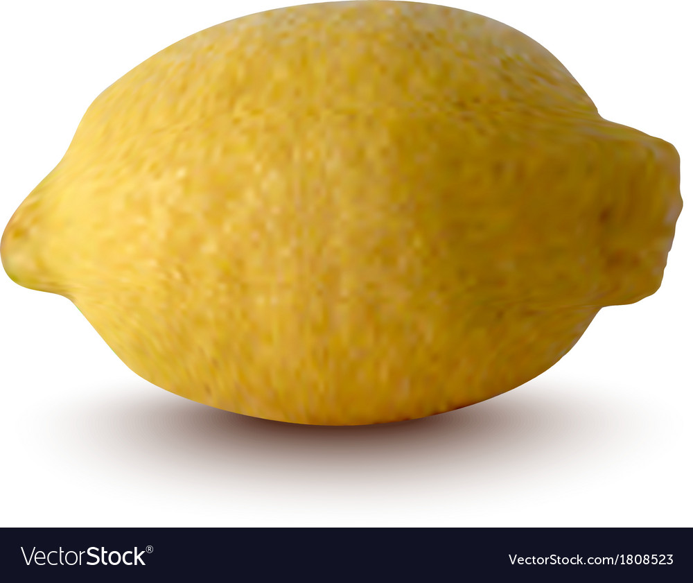 Lemon Royalty Free Vector Image - VectorStock
