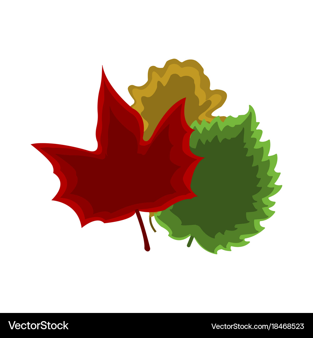 Set of leaf icon cartoon Royalty Free Vector Image