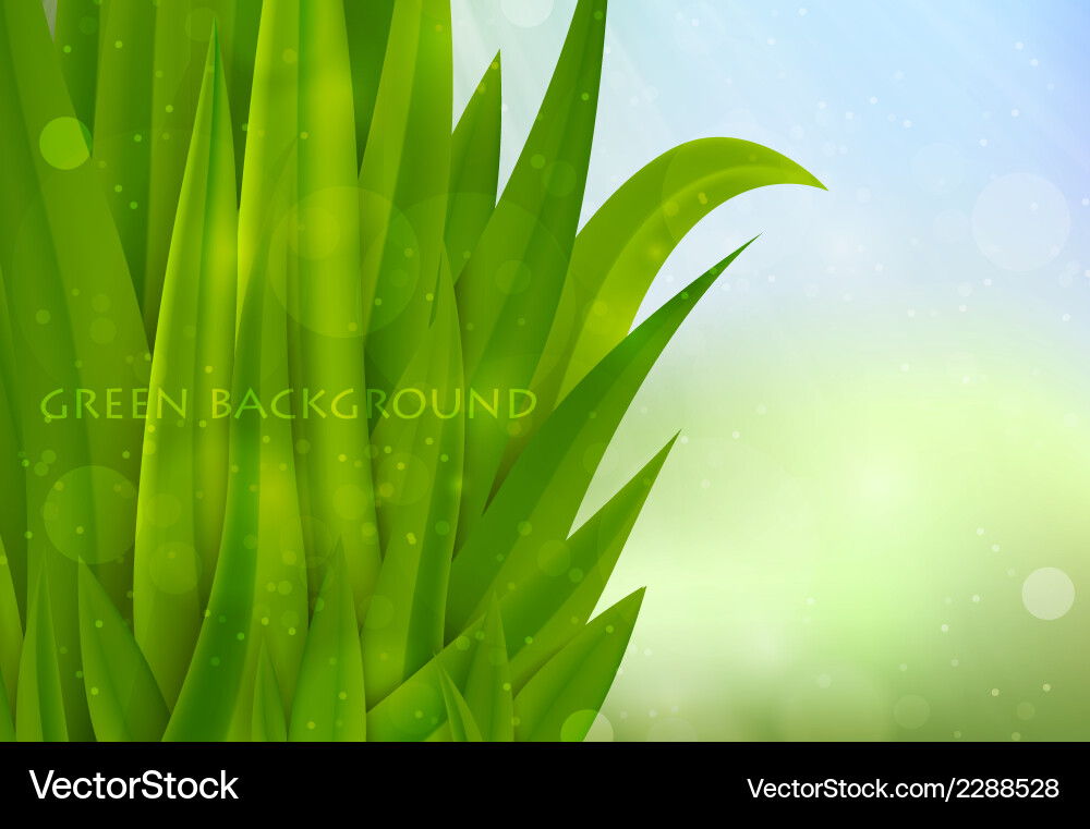 Background of green grass Royalty Free Vector Image