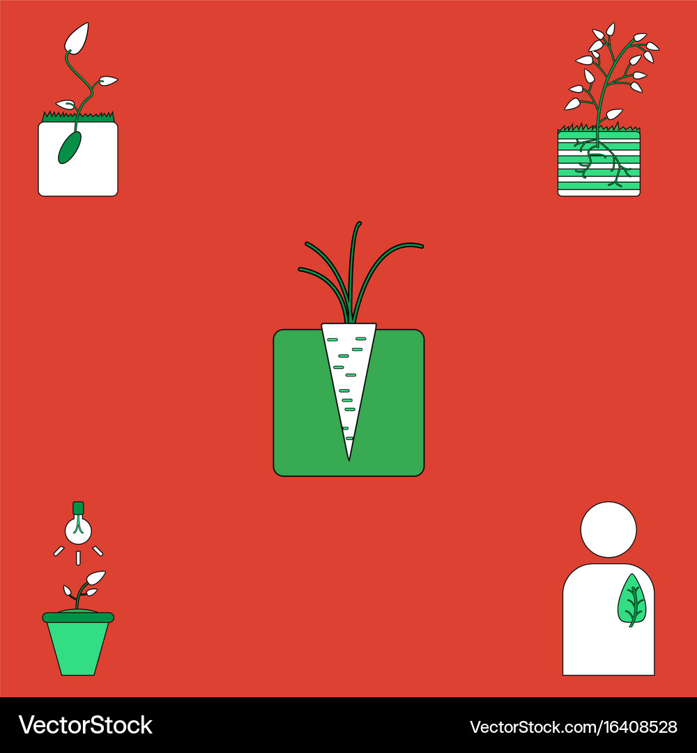 Collection icons and plants stages Royalty Free Vector Image