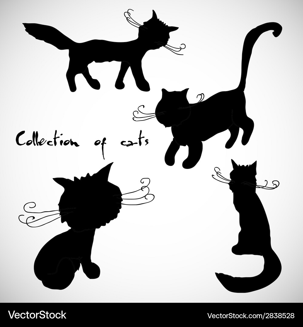 Collection of four cats Royalty Free Vector Image