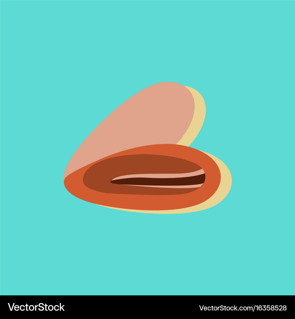 Scallop sea shell sketch style in sticker Vector Image