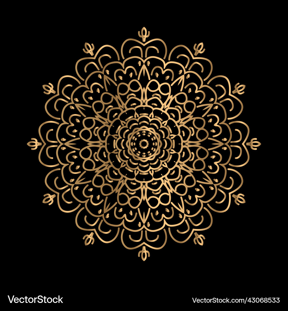 Art of circular pattern in mandala shape Vector Image