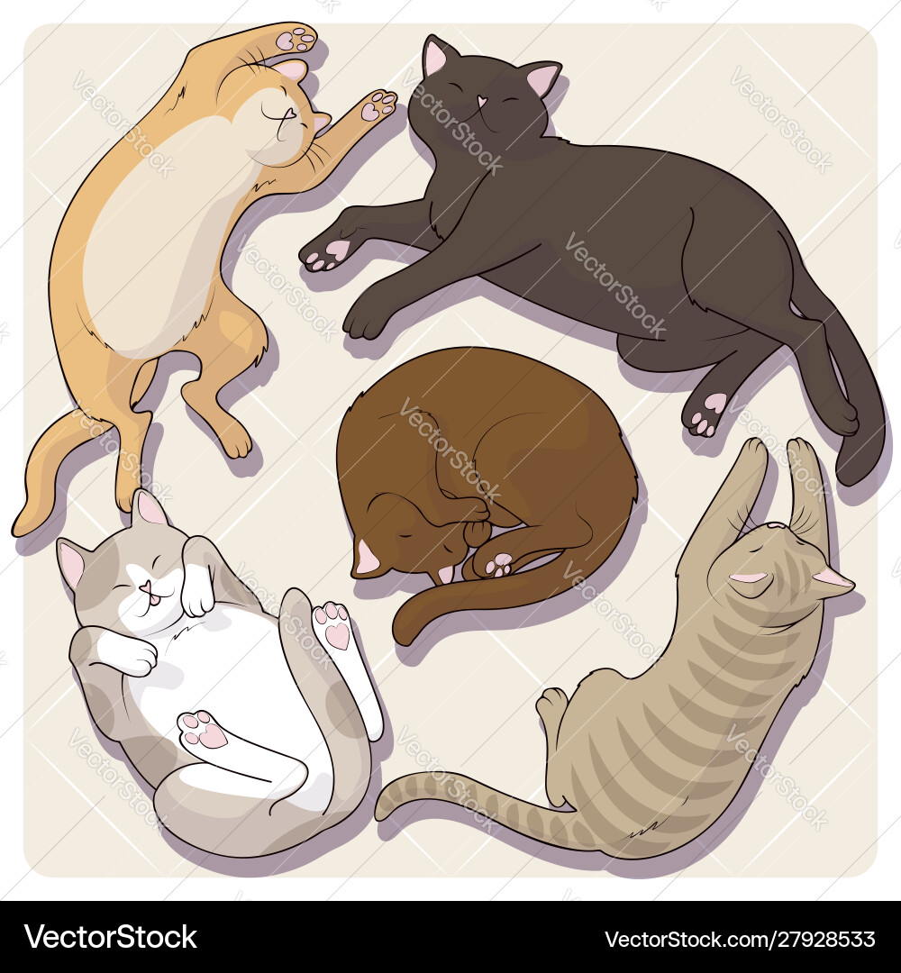 Collection cute cartoon cats in various poses Vector Image