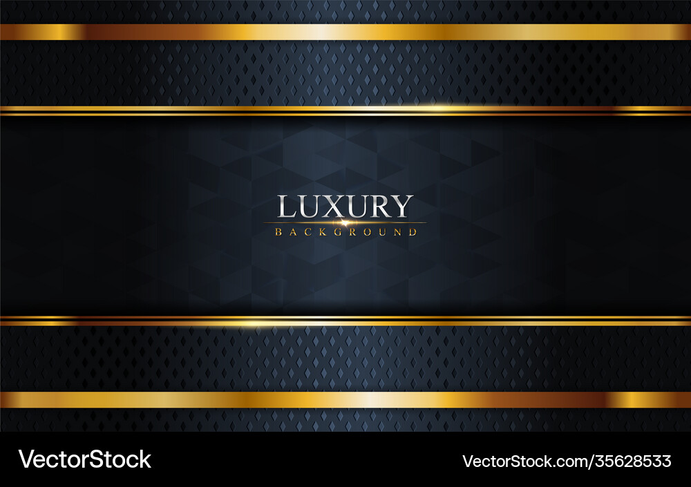 Luxury dark navy combination with golden lines Vector Image