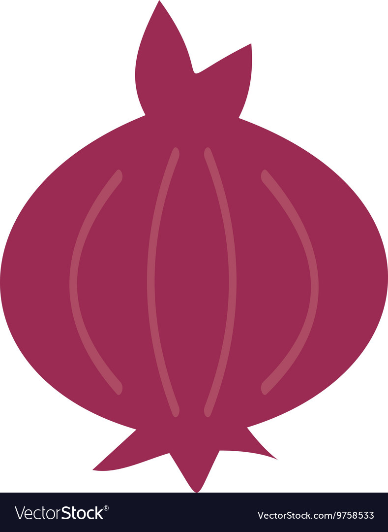 Onion Royalty Free Vector Image - VectorStock