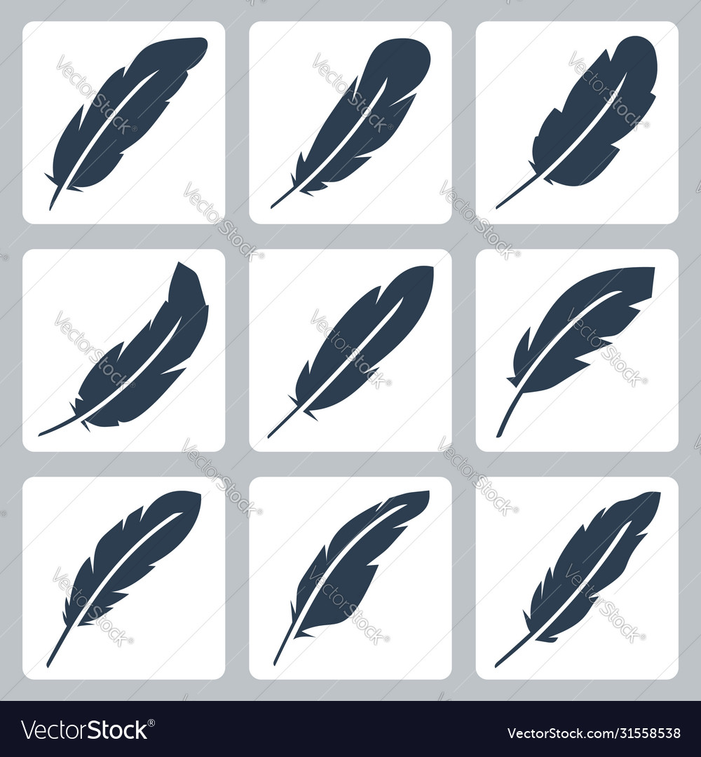 Feather icons set in glyph style Royalty Free Vector Image