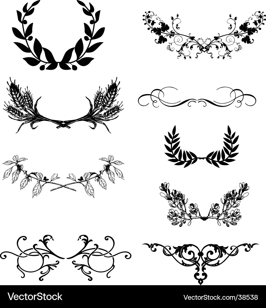 Floral frame elements Royalty Free Vector Image