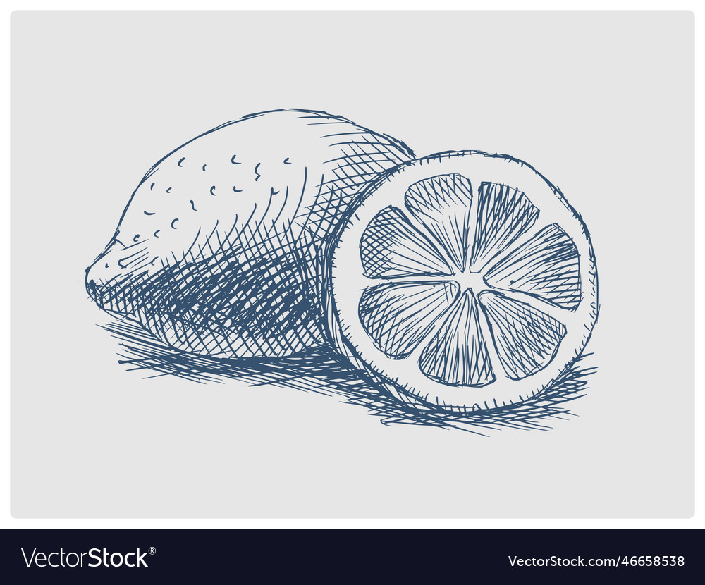 Lemon Sketch Lemon Sketch Etsy UK