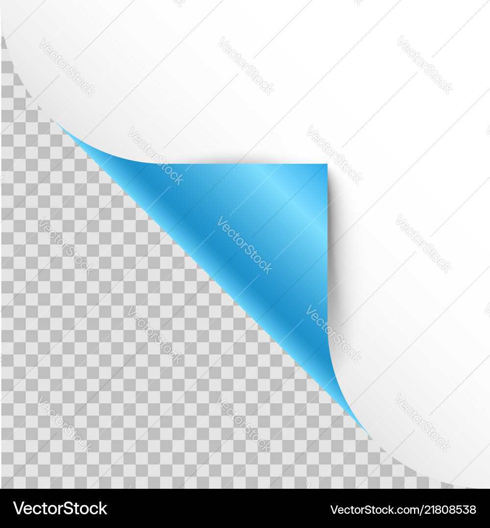 Paper banner - business infographic Royalty Free Vector
