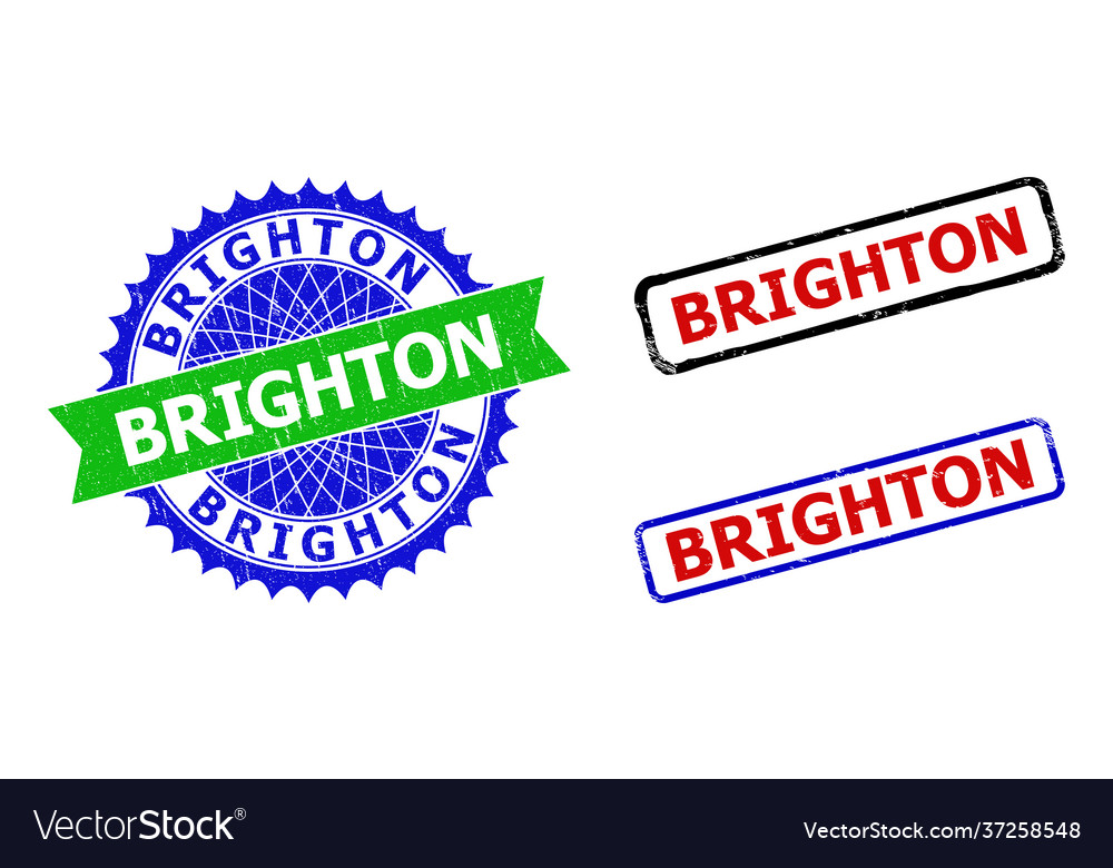 Brighton rosette and rectangle bicolor stamps Vector Image