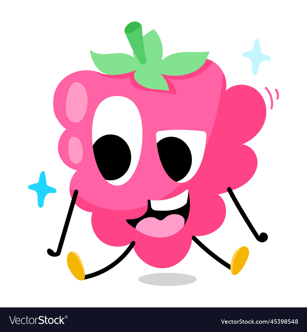 Raspberry Royalty Free Vector Image - VectorStock