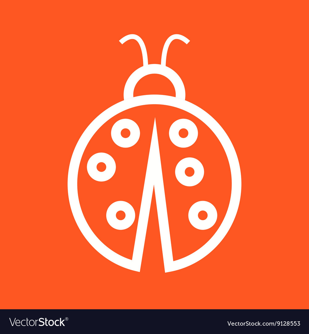 Beetle Royalty Free Vector Image - VectorStock