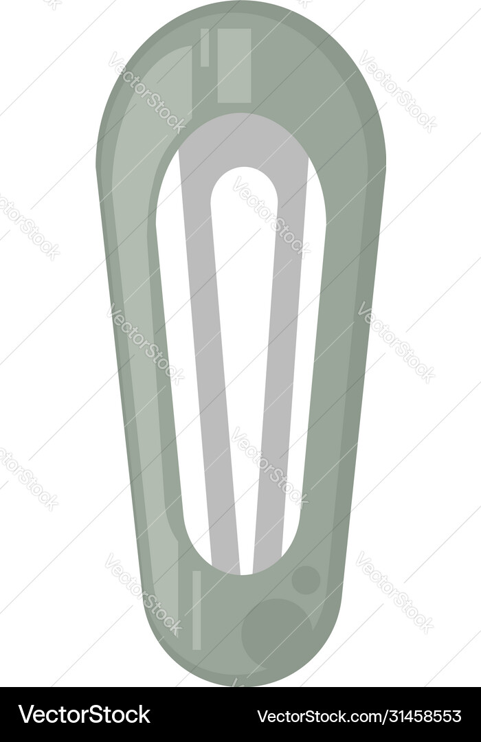 Hair brooch on white background Royalty Free Vector Image